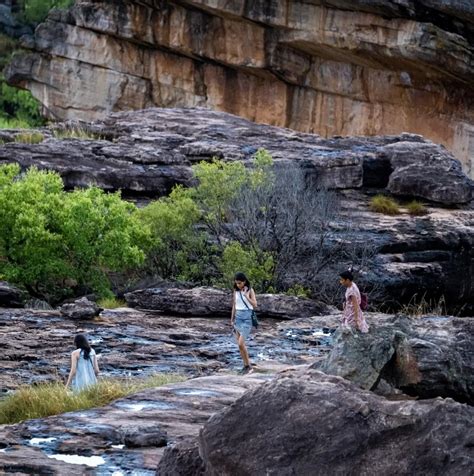 Top Eco Friendly Tourism Practices In Kakadu National Park