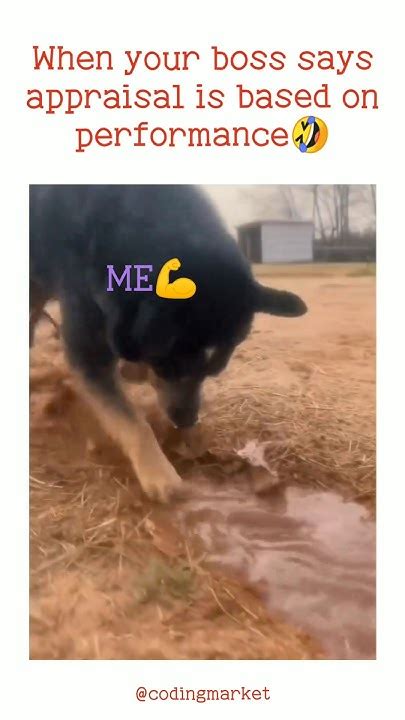 Me Performing Hard For Appraisal🤣😂😅manager Coders Programmers Clientes Viral Shorts Youtube
