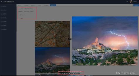 基于springboot和vue的分布式爬虫系统javawebvue 爬虫 Csdn博客