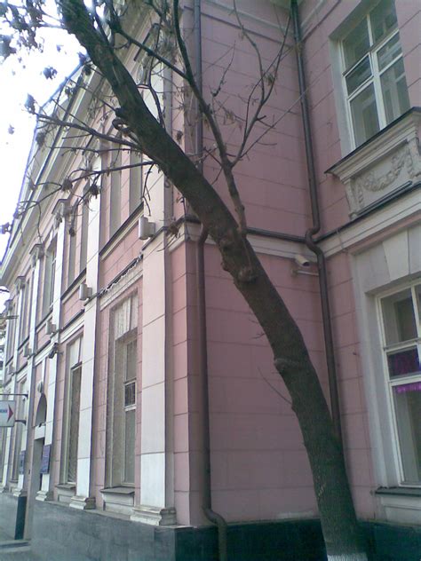 Научно исследовательский институт неотложной детской хирургии и травматологии Москва