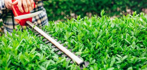 Transform Your Outdoor Space With Gopher Request Gopher