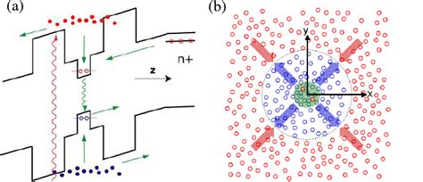 Comparison Between The Experimental And Model Calculated Excitation