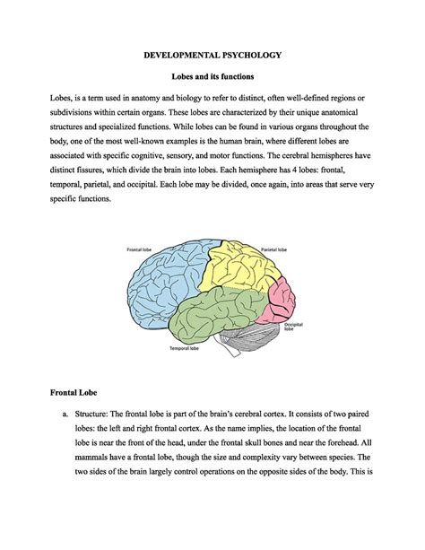 Brain Types Of Lobes Masters Of Science In Clinical Psychology Studocu