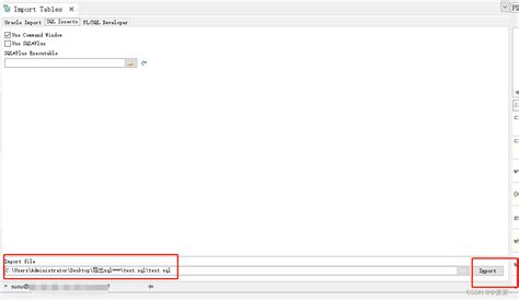 Plsql导出、导入数据 和 同步数据 以及 Navicat 里同步数据 以及解决plsql导出数据乱码问题plsql导入pde文件 Csdn博客