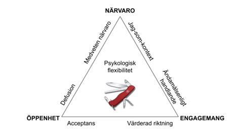 Sex Grundprocesser I Act Myrälf Konsultation