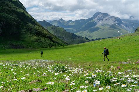 Petit Pas Petit Pas Added A New Photo