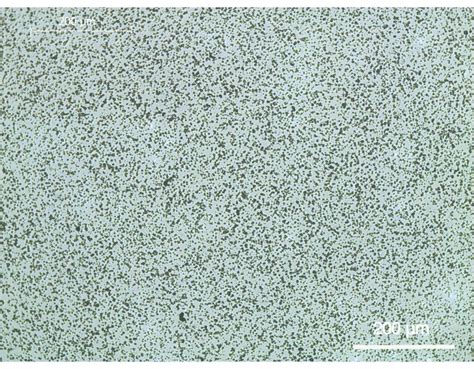 Vídeo Um Protocolo Simples De Ensaio De Fossa Para Visualizar E