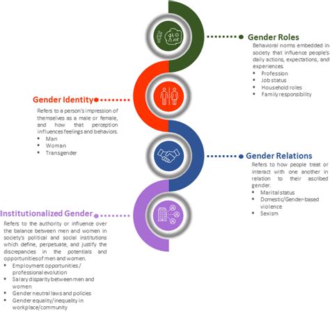 The Four Gender Domain Constructs Gender Role Gender Identity Gender