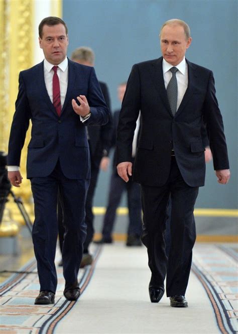 Фото Медведева В Полный Рост — Картинки фотографии