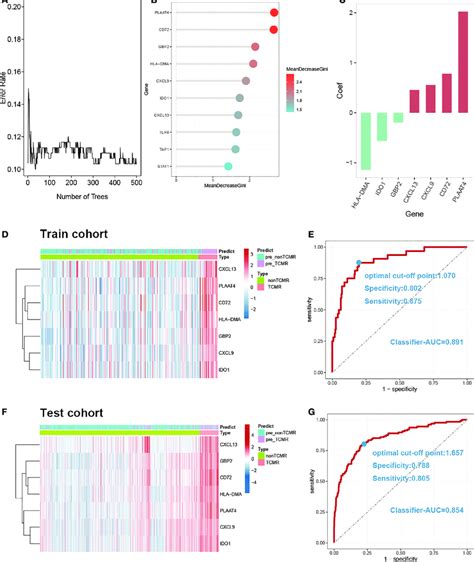 Construction And Verification Of Diagnostic Prediction Model A Download Scientific Diagram