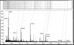 Example Of The Graphical View Of A Typical Mass Code Download Scientific Diagram