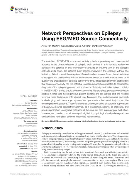 Pdf Network Perspectives On Epilepsy Using Eegmeg Source Connectivity