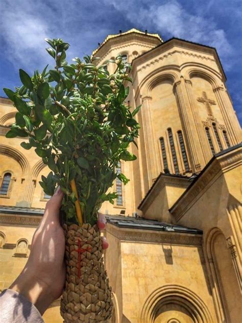 🌿გილოცავთ ბზობას🌿 🌿🌿ბზობის დიდება მაღალთა შინა ღმერთსა