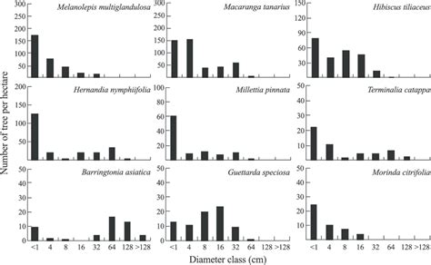 The Diameter Structure Of Some Major Tree Species In The Siangjiaowan Download Scientific