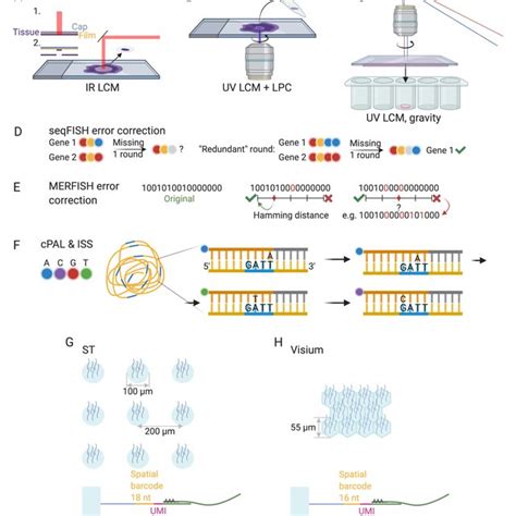 PDF Museum Of Spatial Transcriptomics