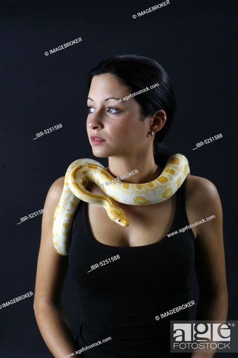 Woman With Indian Python Python Molurus Albino Stock Photo Picture And Rights Managed Image