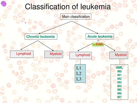 Ahmad Sh Silmi Msc Haematology Fibms Ppt Download