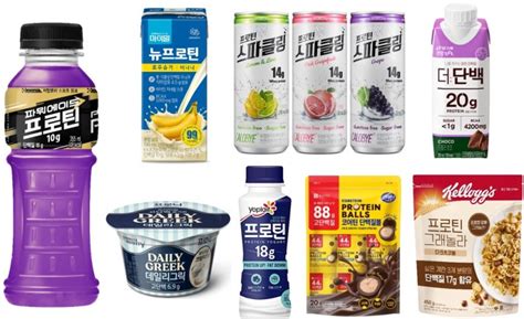 국내 단백질 식품 시장 규모 3년 새 4배 이상 증가 국내 단백질 식품 시장 규모 3년 새 4배 이상 증가