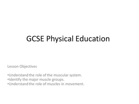 Gcse Pe The Muscular System Teaching Resources