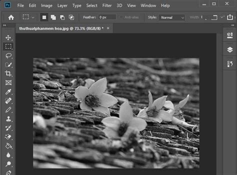 چگونه عکس رنگی را سیاه سفید کنیم تبدیل عکس رنگی به سیاه و سفید در فتوشاپ