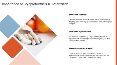 Exploring Cryoprotectants Essential Agents For Preservation Ppt