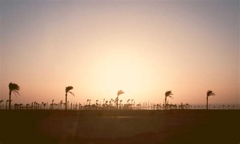 The Power Of Microservices Architecture In Modern Development — Association Of Registered Web