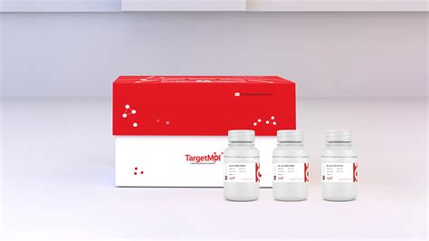 RIPA Lysis Buffer Middle TargetMol