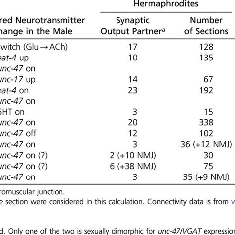 Sexual Dimorphisms Of Sex Shared Neurons Download Table