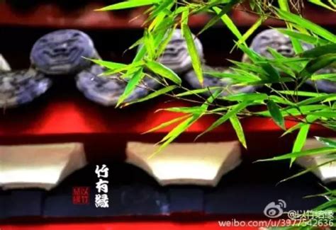 最愛中國紅 每日頭條