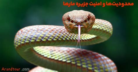 جزیره مارها در برزیل