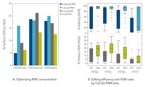 Guidelines For Achieving High Rates Of Hdr With Crispr Ca