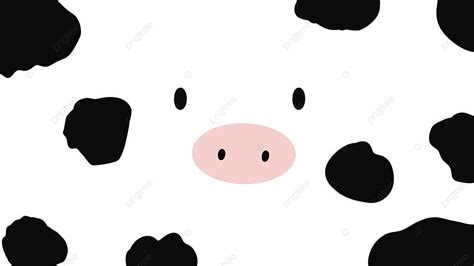 Fondo De Pantalla De Vaca Para Escritorio