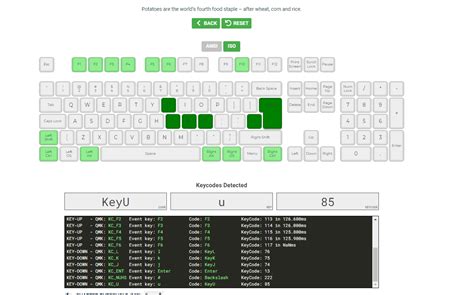 Kbd Mkiii Multiple Key Presses At Once Issue Rkbdfans