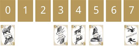 Linear Probing Insertion Cs2 Mulch