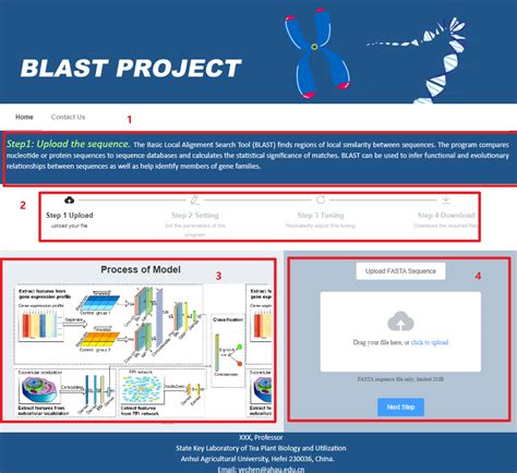 GitHub LionKingAHAU BioInfoWeb A Simple Website To Upload Files Train Scripts Display And