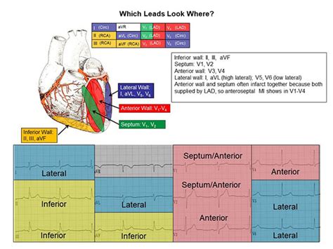 12 Lead Ecg Reference Chart Cardiovascular Nursing Education Associates