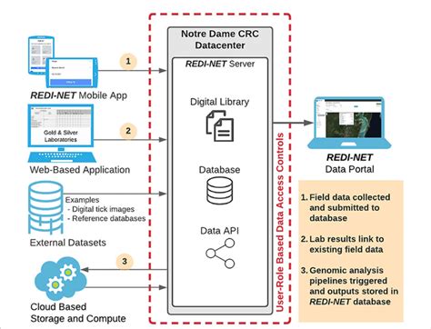 Redi Net Phase I Data Management Structure Download Scientific Diagram