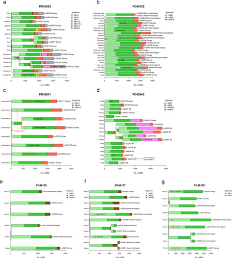 Sbs Mutational Signatures In The Normal Epithelium In Ls Download Scientific Diagram