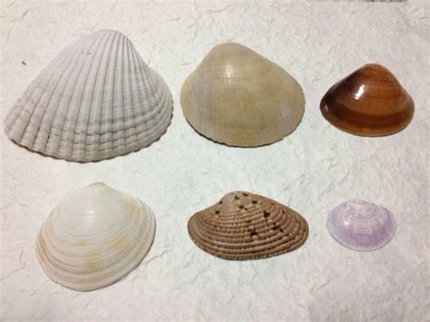 I Solation Room 2012 04 03