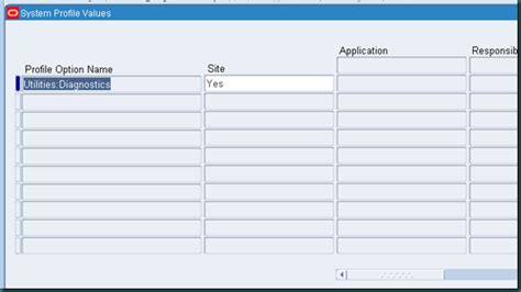 Oracle Application Techno Functional Errorfunction Not Available In