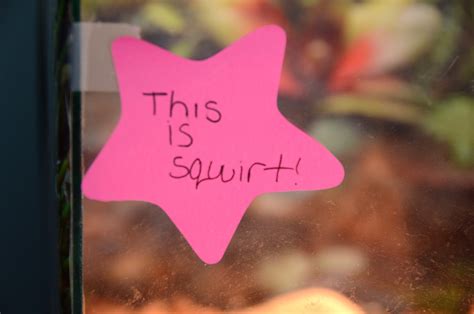 Simply Sulee Miss Grace