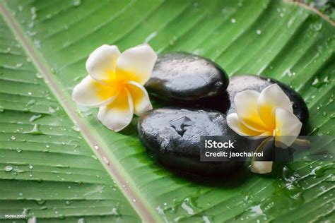 스파 트리 트 먼 트 웰빙 스파 스파에 대 한 항목에서에서 불타는 초 발 석 회와 열 대 꽃 스파 페디큐어 치료와 그릇에 목욕 개념에 대한 스톡 사진 및 기타 이미지