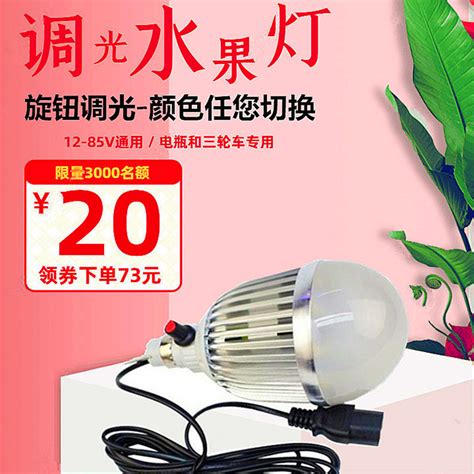 水果灯led生鲜灯电瓶12v摆摊熟食灯超亮鲜肉灯48v可调光变色灯泡虎窝淘