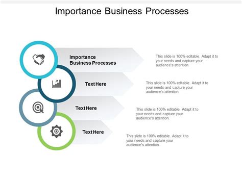Importance Business Processes Ppt Powerpoint Presentation Outline Gridlines Cpb