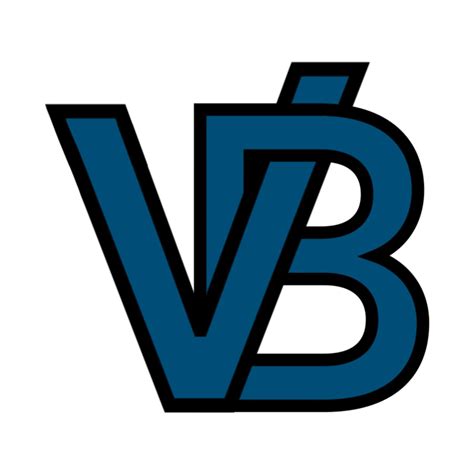 Vibe Sports Sarasota Fl