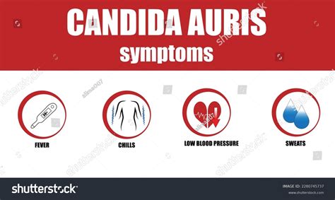 Candida Auris Symptoms Illness Deadly Disease Stock Vector Royalty Free 2280745737 Shutterstock