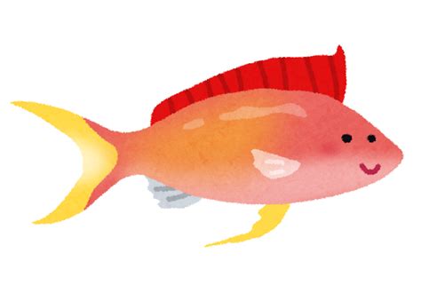 アカネハナゴイのイラスト熱帯魚 かわいいフリー素材集 いらすとや