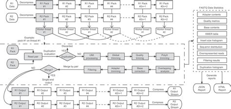 Paired‐end Data Processing Workflow Of Fastp The Workflow Can Be