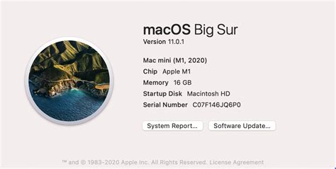 After Effects Not Responding Adobe Support Community 11999540
