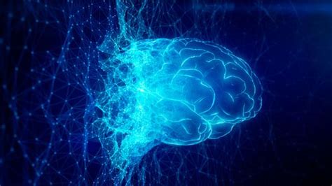 What Is Pytorch Techradar